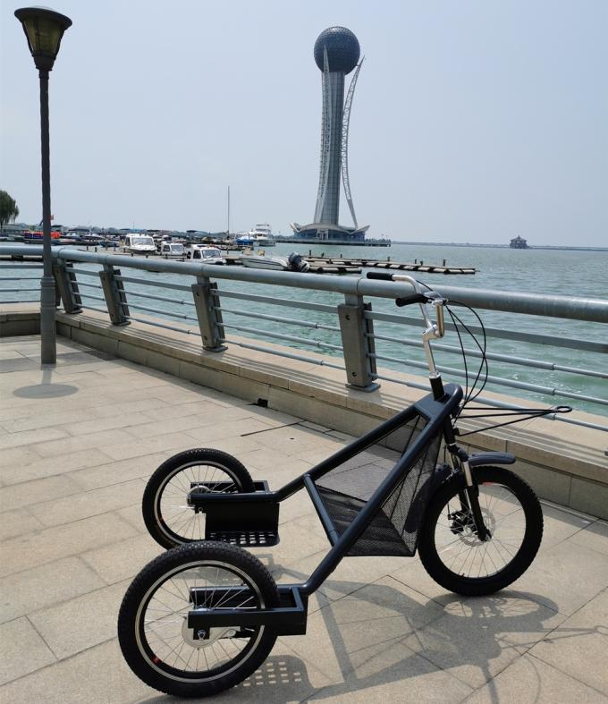 Powered Dog Trike Tricycle