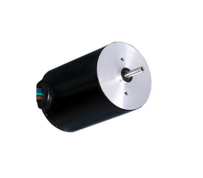 48 Volt Brushless Dc Motor High Torque For Remote Control Robot Endoscope